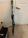 Very Rare Bear Delta V Compound Bow 1981 for sale in Haines City, FL ...