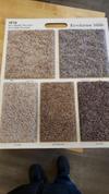 Investor - Rental Grade - Builder Carpet with Pad Installed 1.39sf ...