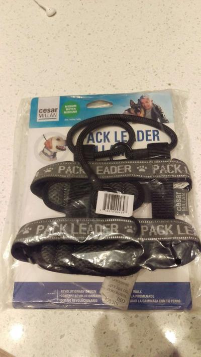 NEW - Cesar Millan Pack Leader Dog Collar for sale in Santa Ana, CA ...