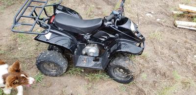 125 mini Chinese tao dirtbike runs great carb needs to be adjusted. 110 ...