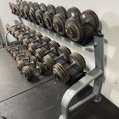 GP Pro style Round Dumbbells 5-80lbs with Muscle D Dumbbell Rack for ...