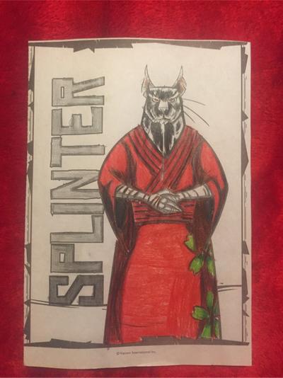 Master splinter coloring page for sale in Fredericksburg, TX - 5miles ...