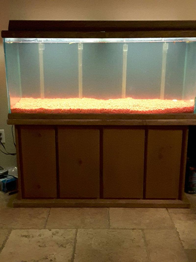 75 gallon fish tank with stand / cabinet for sale in Round Rock, TX ...
