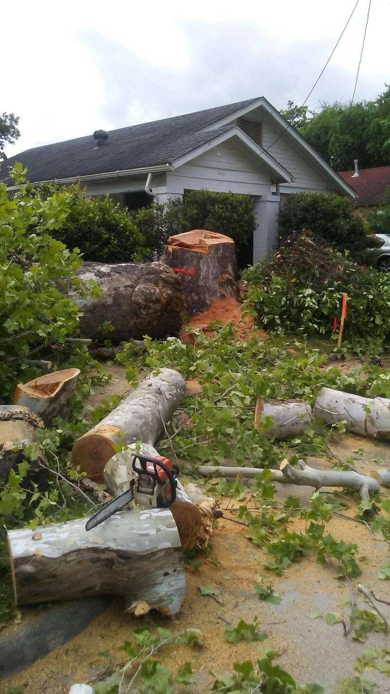 Daniel tree service for sale in Dallas, TX - 5miles: Buy and Sell