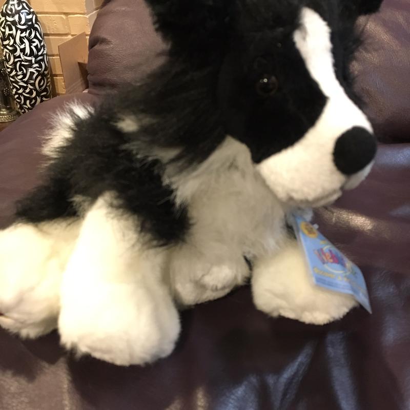 Webkinz stuffed animal Border Collie with code for sale in Arlington ...