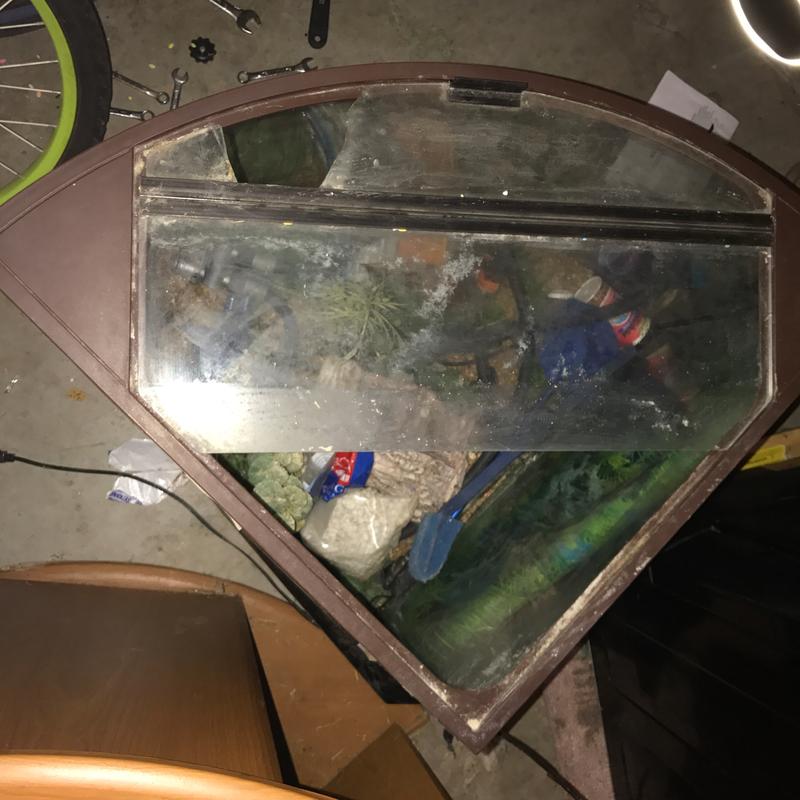 36 gallon bow corner fish tank and stand for sale in Little Elm, TX ...