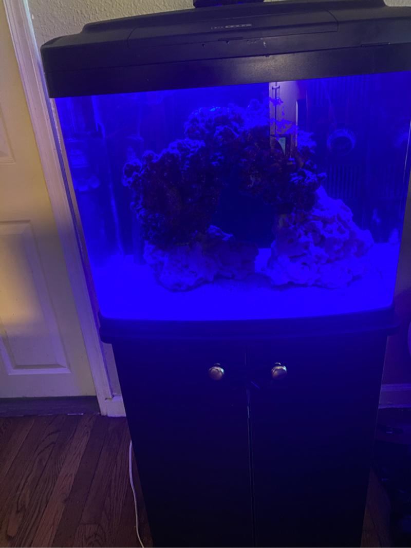 Bio cube 32 gallon fish tank for sale in Fort Worth, TX - 5miles: Buy ...