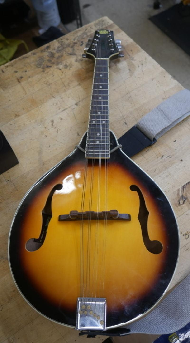 Rogue Mandolin RM100a pre owned 873063-1 for sale in Baltimore, MD ...