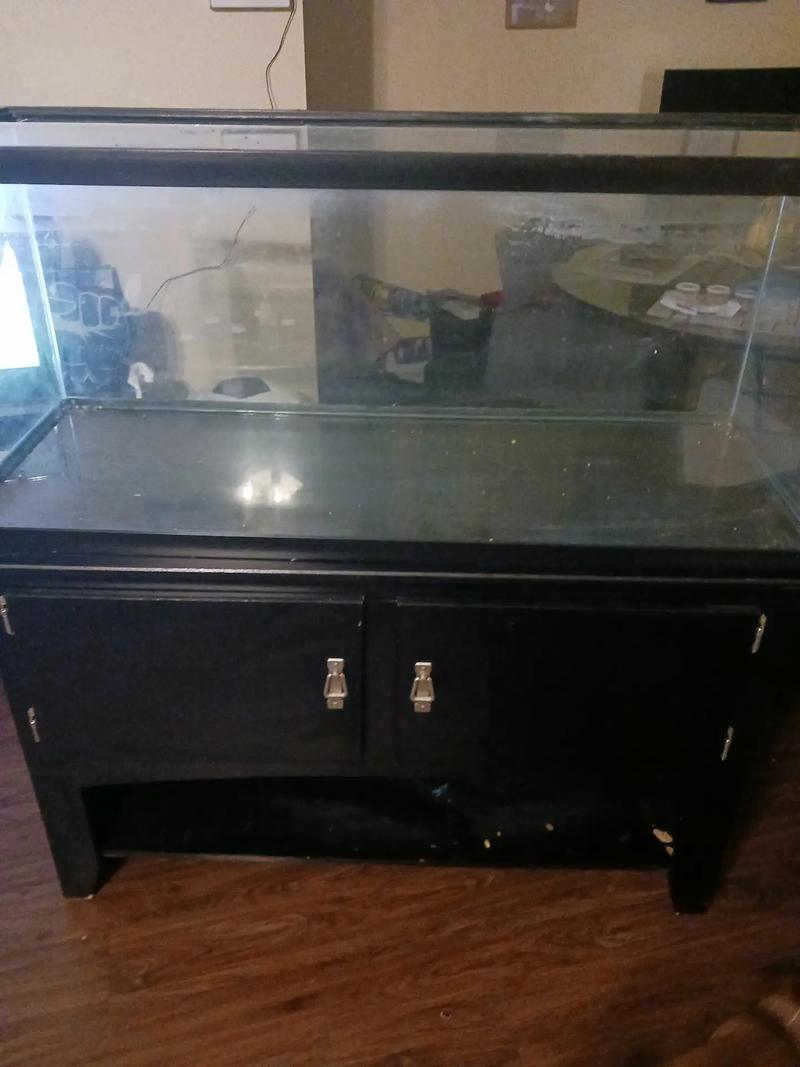 55 GALLON FISH TANK AND BLACK WOOD STAND. WITH ACCESSORIES for sale in ...