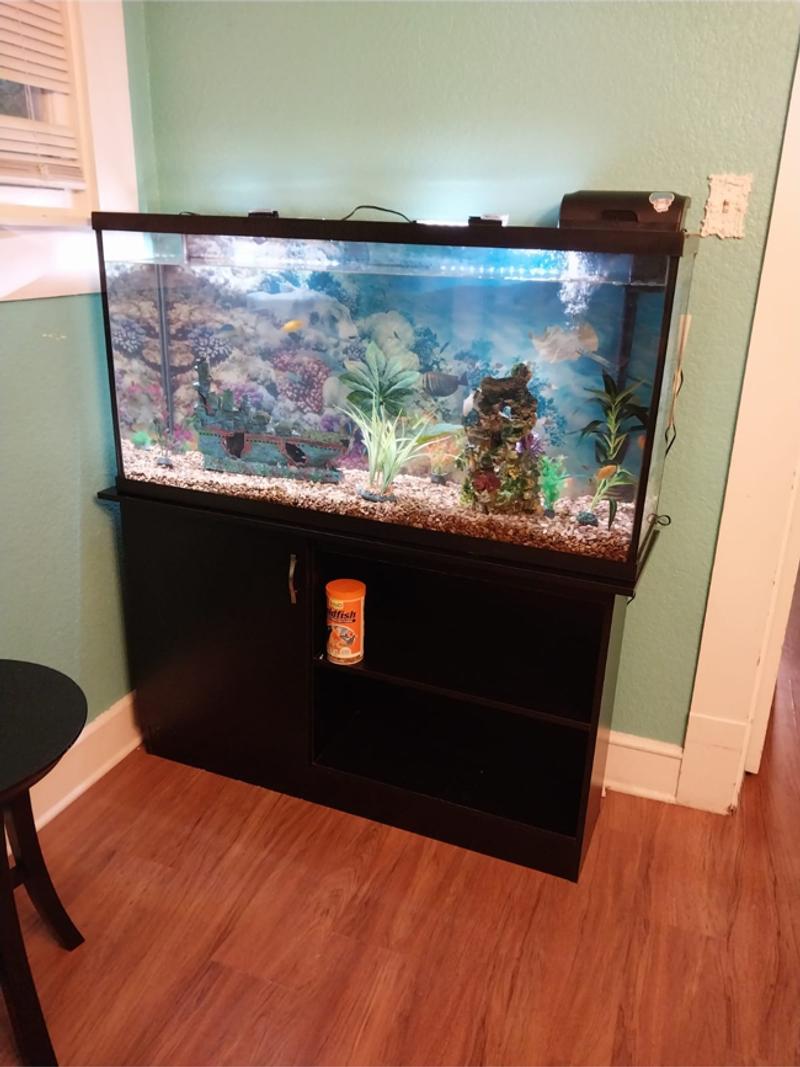 60 gallon fish tank with stand for sale in Balch Springs, TX - 5miles ...