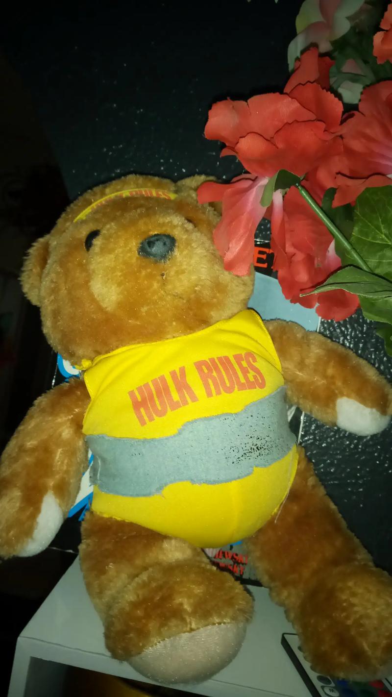 Collectable Hulk Hogan Teddy Bear for sale in Temple, TX - 5miles: Buy ...